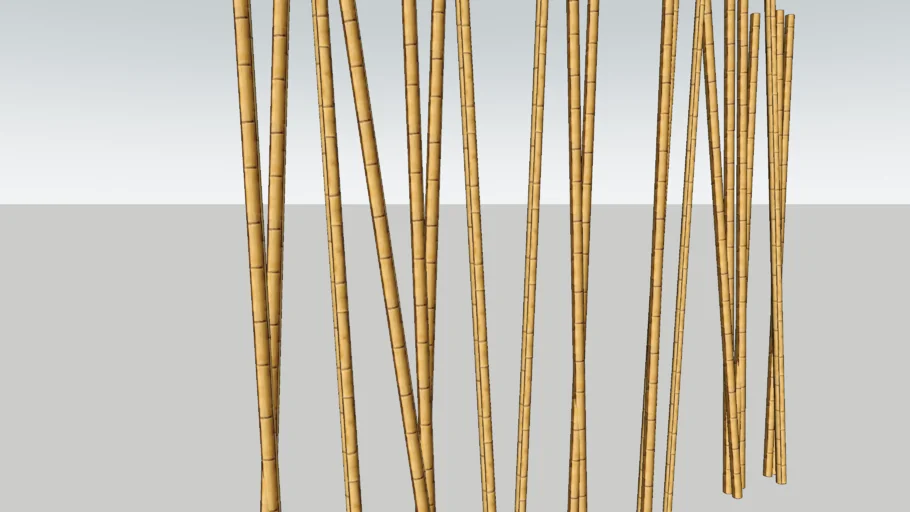 Bambus | 3D Warehouse