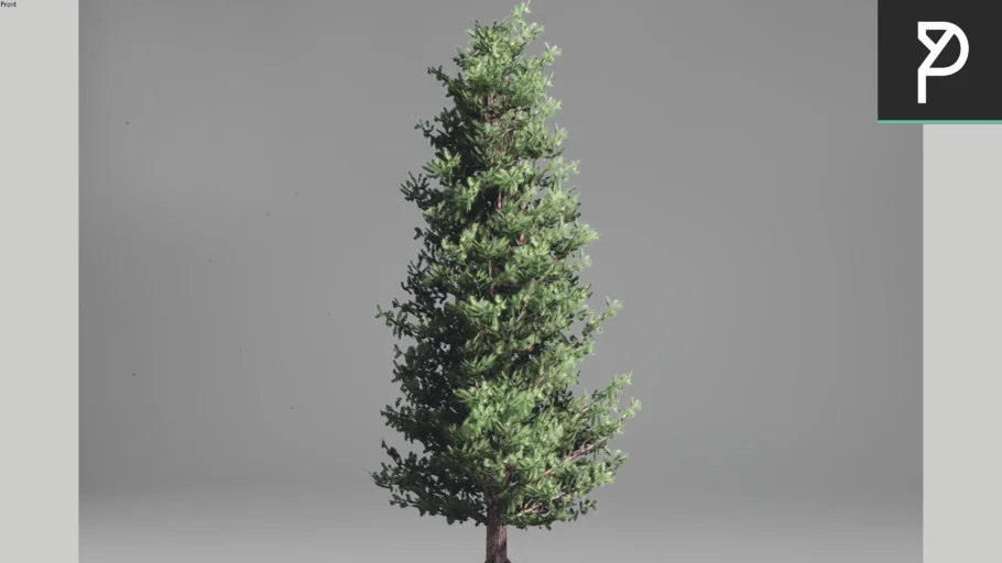 2DTrees_076 Pine | 3D Warehouse
