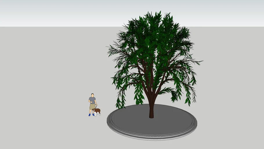 Fresh green tree | 3D Warehouse