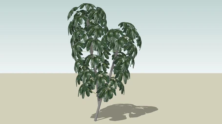 TREE 2 | 3D Warehouse