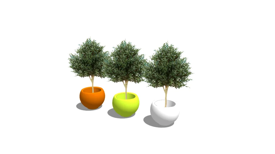 Olivier | 3D Warehouse