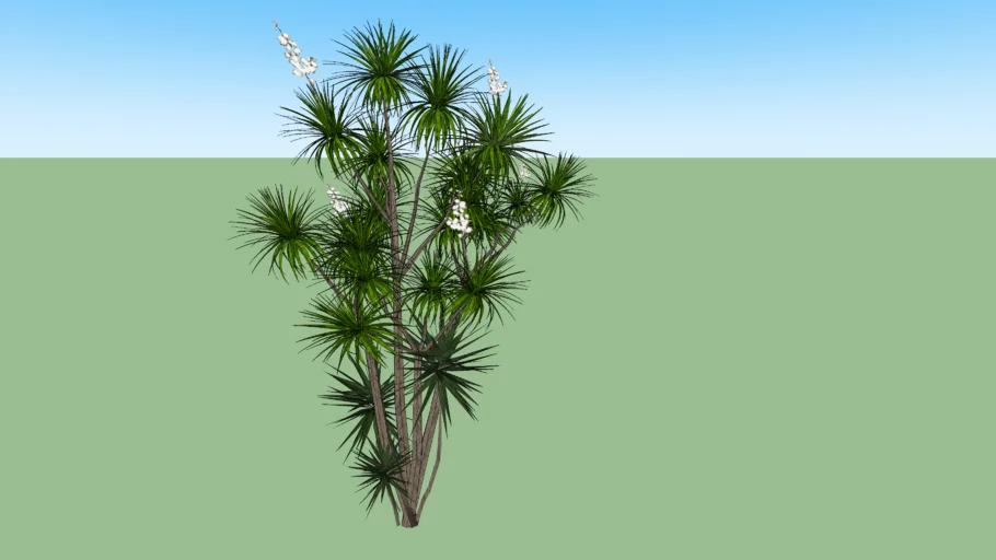 Yucca | 3D Warehouse
