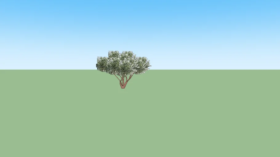 Olivier | 3D Warehouse