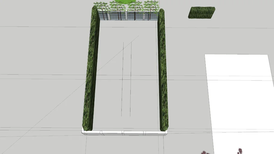 Pleached Tree | 3D Warehouse