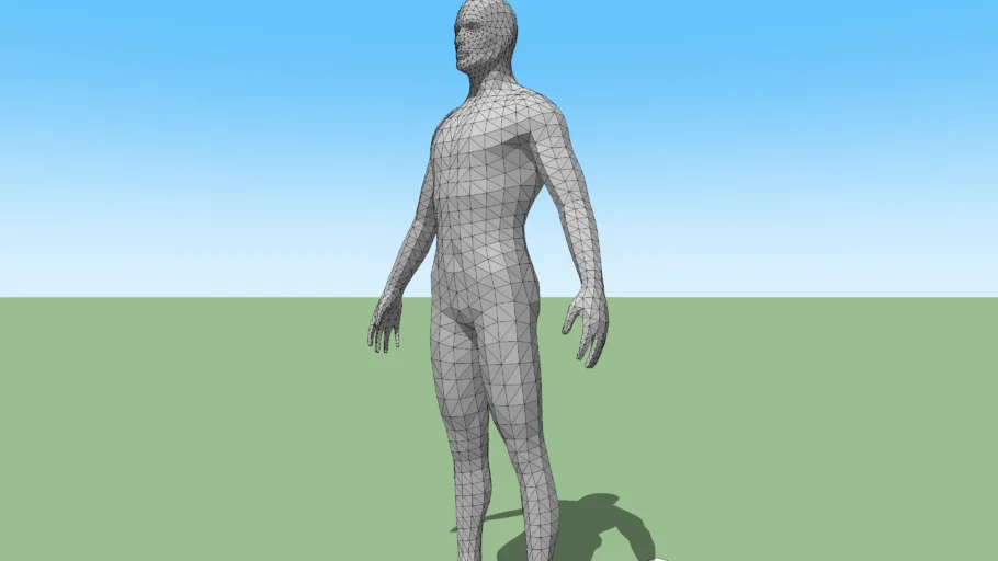 Human | 3D Warehouse