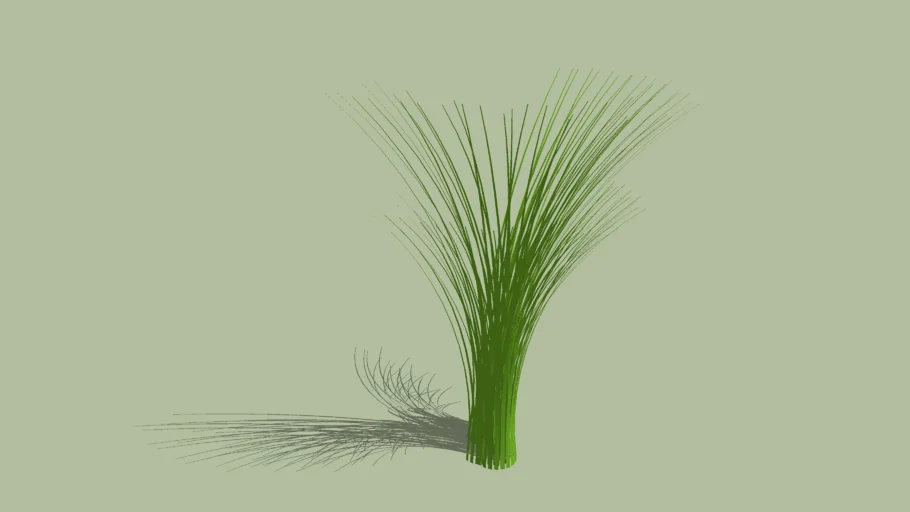 ornamental grass | 3D Warehouse