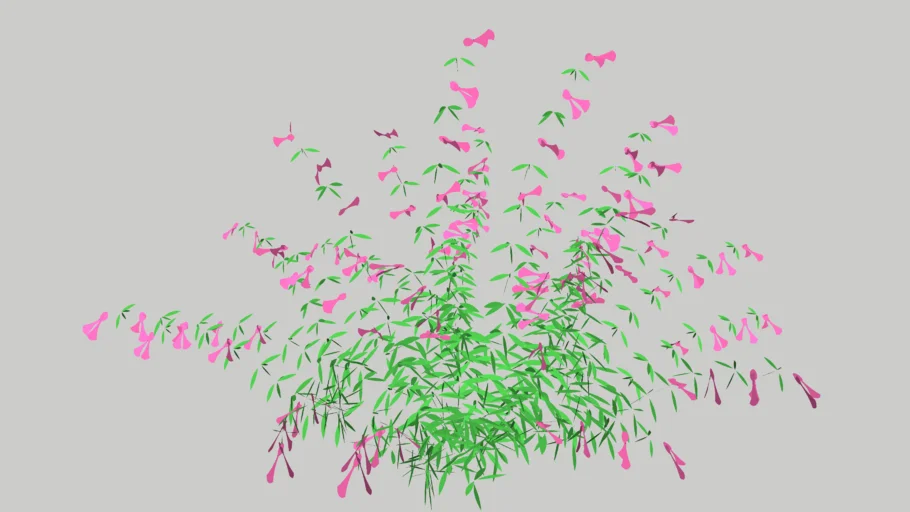 Penstemon | 3D Warehouse