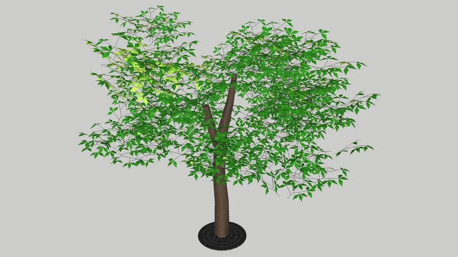 tree with grill | 3D Warehouse