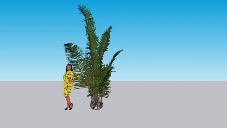 Plant | 3D Warehouse