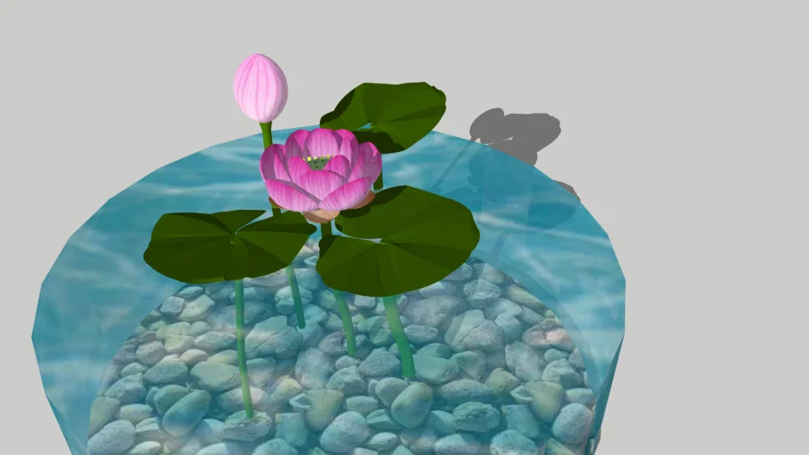 Lotus | 3D Warehouse