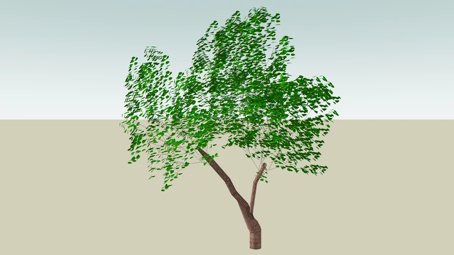 tree | 3D Warehouse
