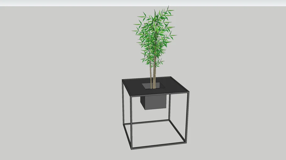 Plant | 3D Warehouse