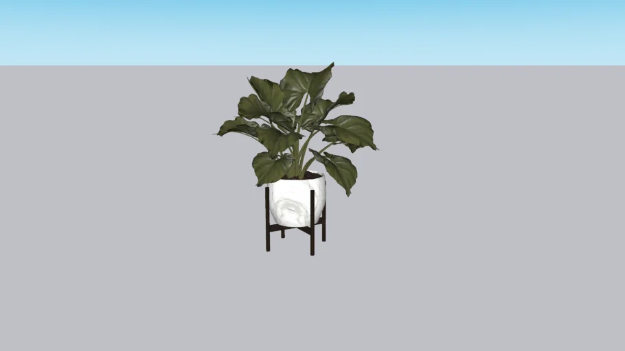 Plant | 3D Warehouse