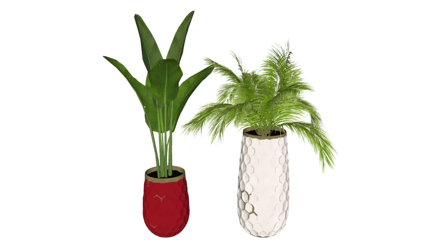 PLANT ( CONVERT 3DSMAX TO SKETCHUP ) | 3D Warehouse