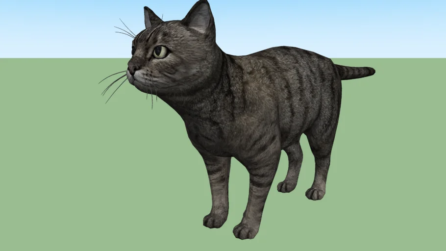Cat | 3D Warehouse