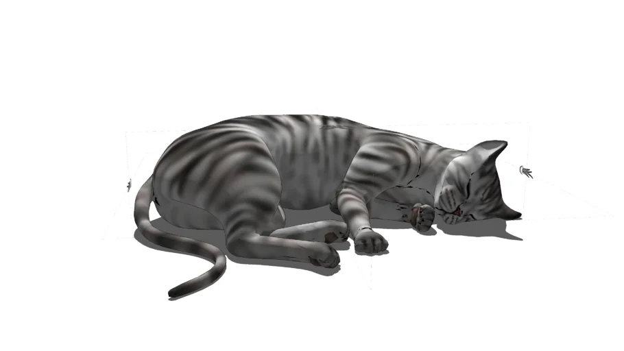 CAT | 3D Warehouse