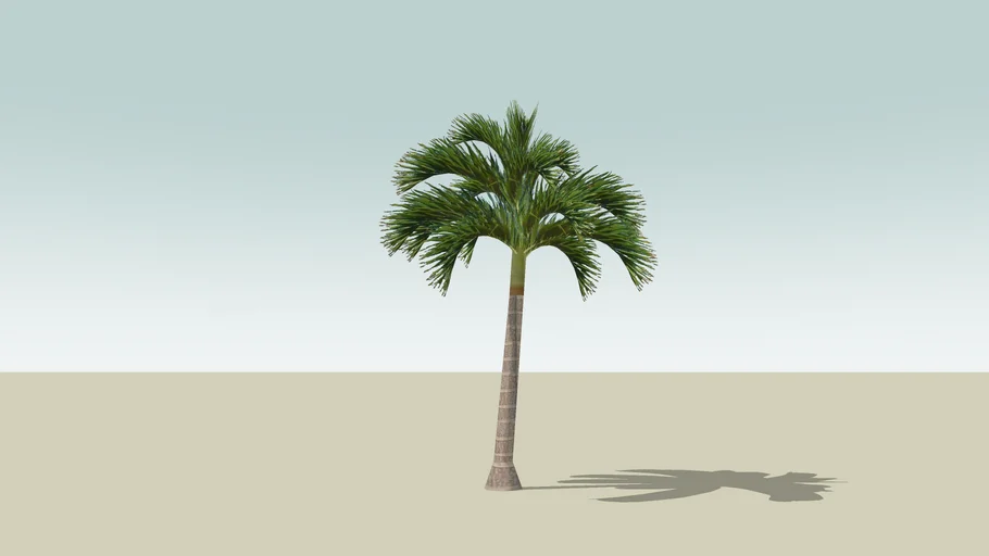 palm tree | 3D Warehouse