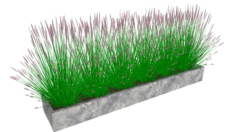 PLANTS | 3D Warehouse