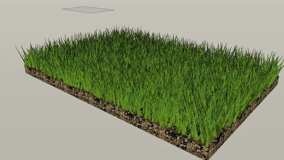 PLANTA GRAMA EVA | 3D Warehouse