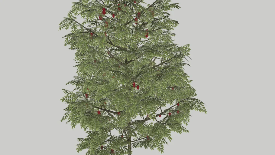 arbol 2 | 3D Warehouse