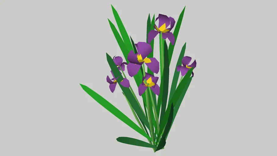 Iris | 3D Warehouse