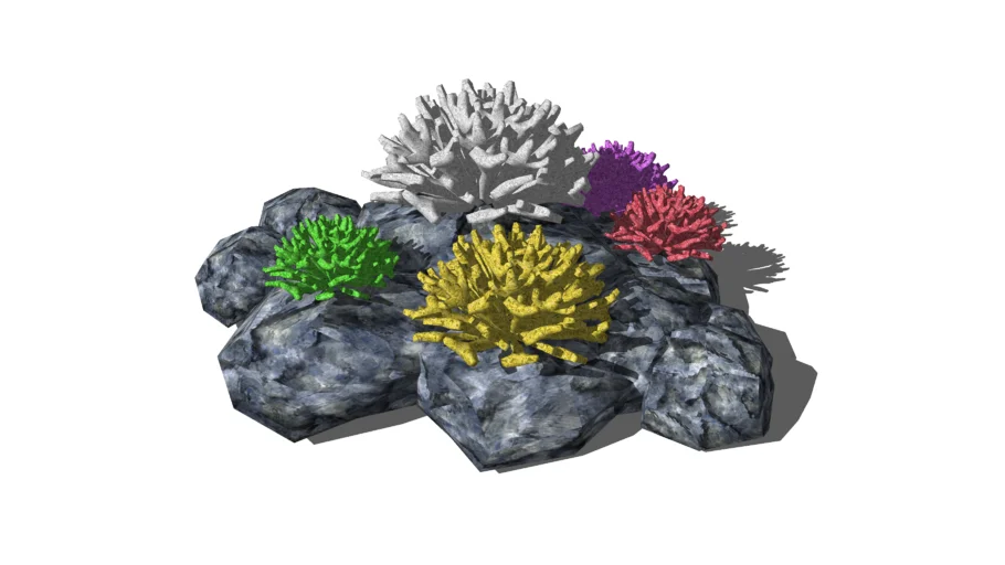 Corals | 3D Warehouse