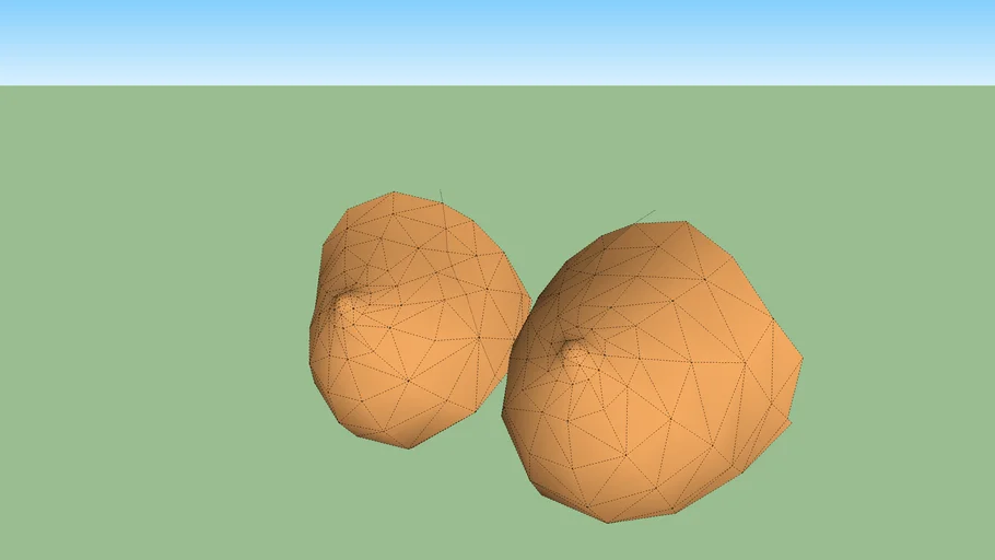 anatomia del seno | 3D Warehouse