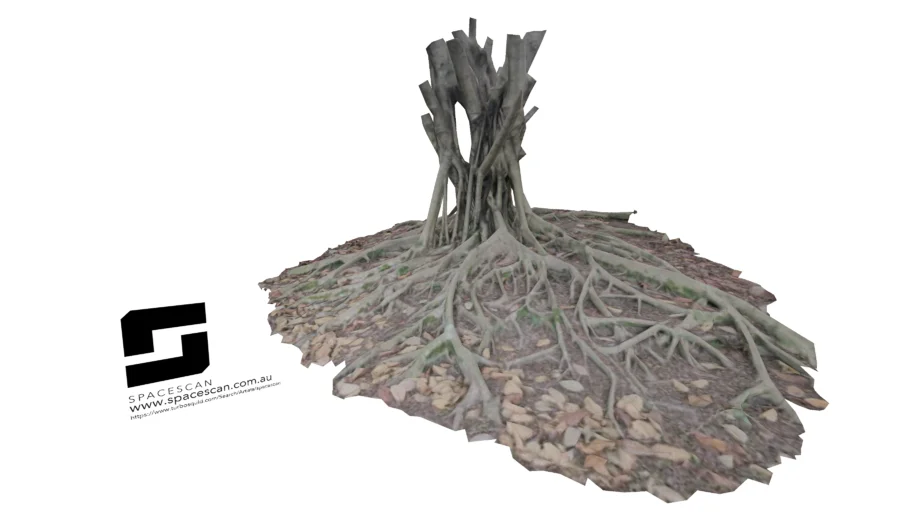 Tree Trunk and Roots | 3D Warehouse