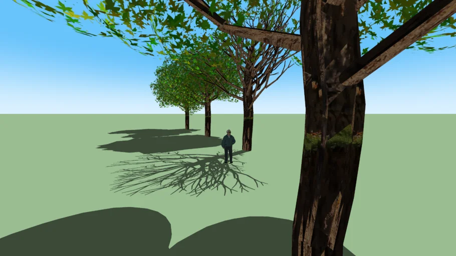 3D tree with and without leaves | 3D Warehouse