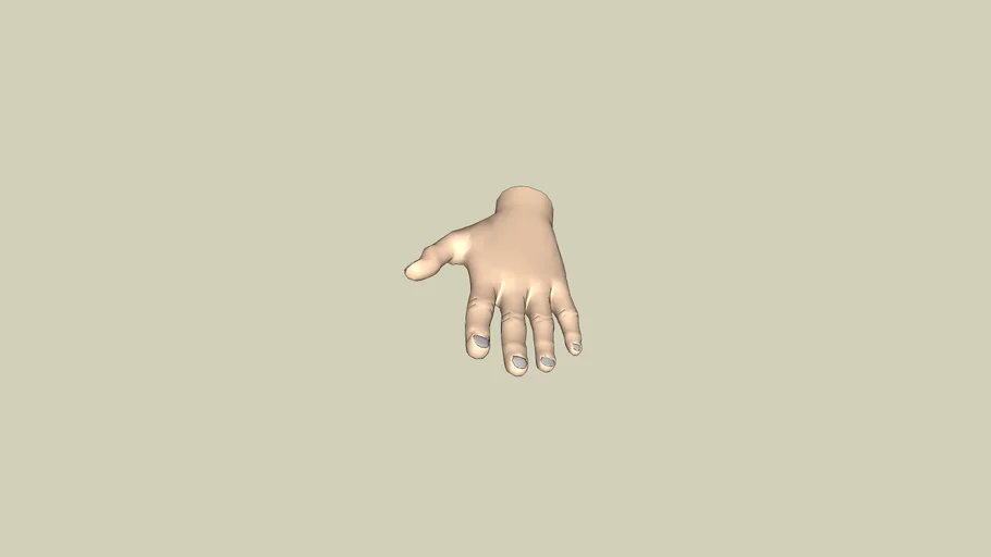 Human hand | 3D Warehouse