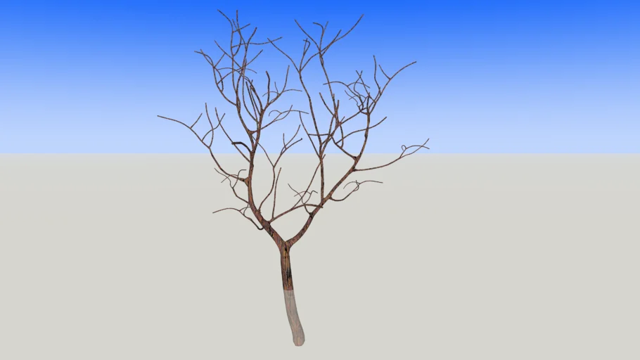 Winter Tree | 3D Warehouse