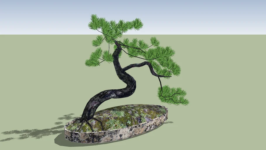 bonsai | 3D Warehouse