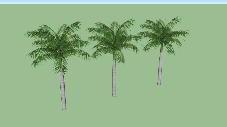 Royal palm trees | 3D Warehouse