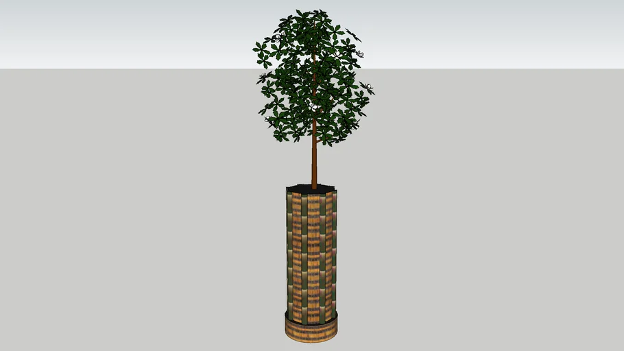plant | 3D Warehouse