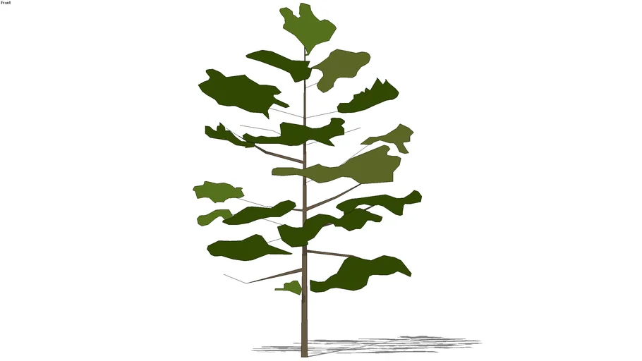 Tree_2D_Schematic_Sparse_35' | 3D Warehouse