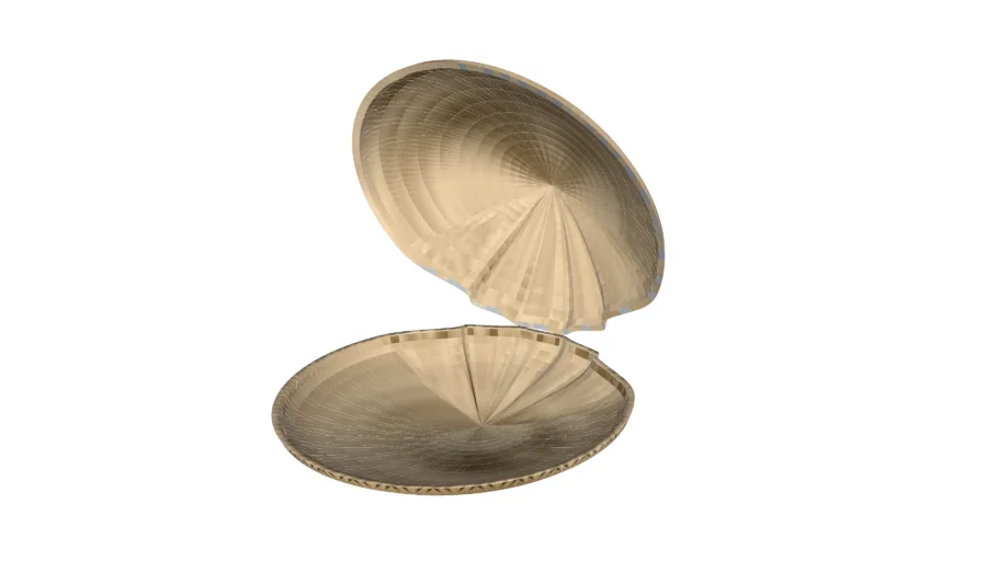 shell | 3D Warehouse