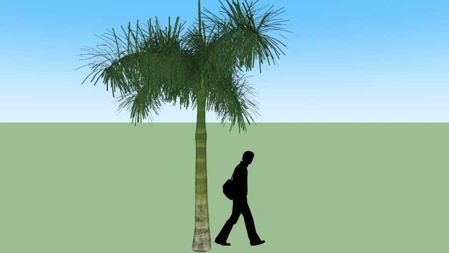 Palmera Arking Sincelejo 2 | 3D Warehouse