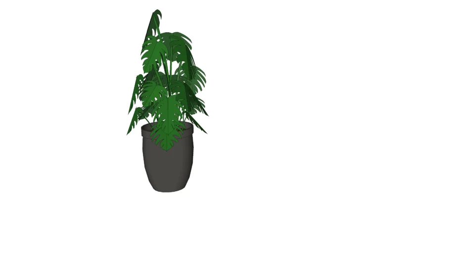 Plant | 3D Warehouse