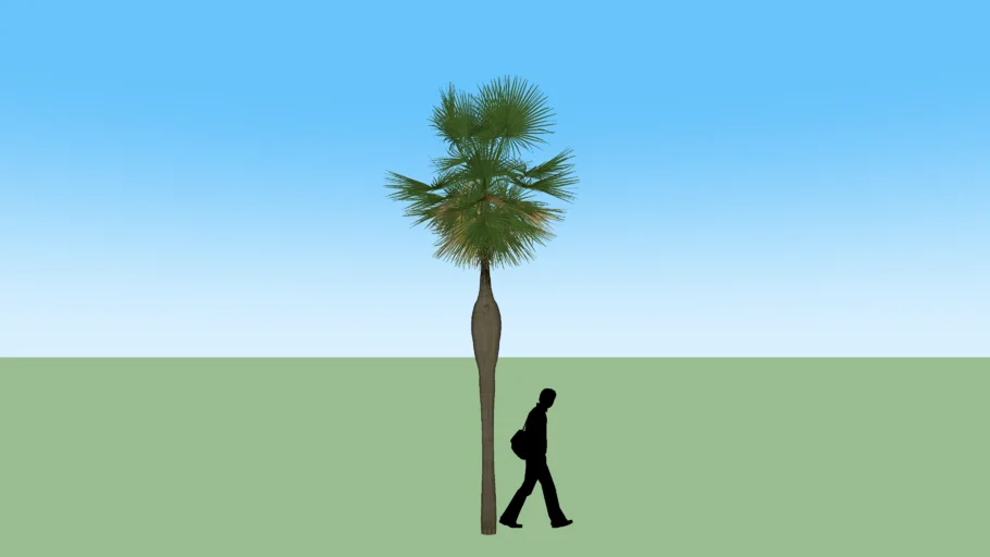 Palmera Arking Sincelejo 3 | 3D Warehouse