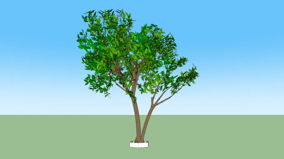 3D Tree | 3D Warehouse
