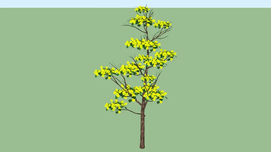 Árvore | 3D Warehouse