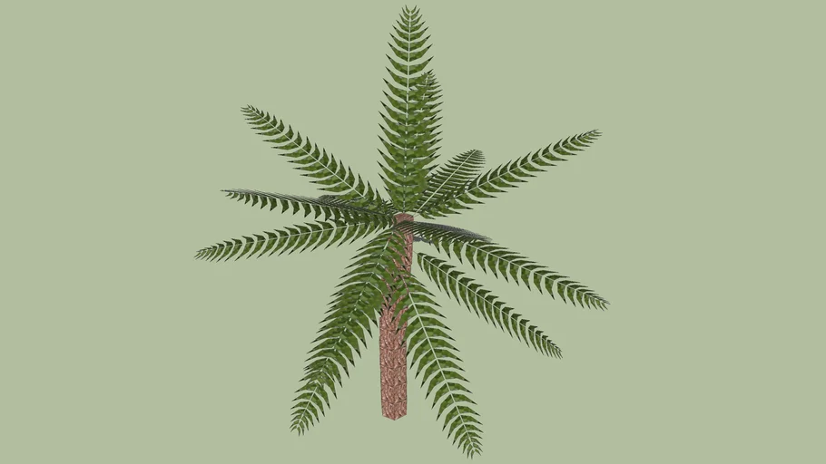 Palm Tree | 3D Warehouse