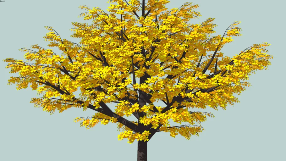 Large broadleaf tree fall 2 | 3D Warehouse