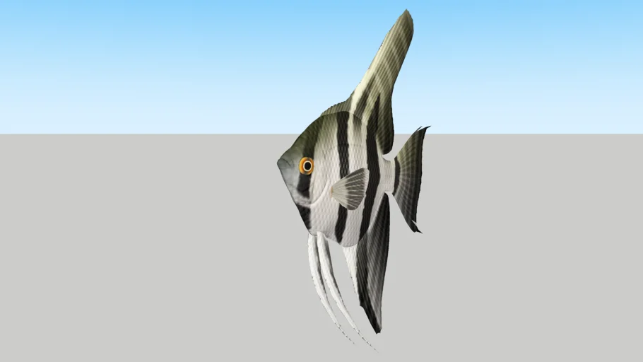 Fish | 3D Warehouse