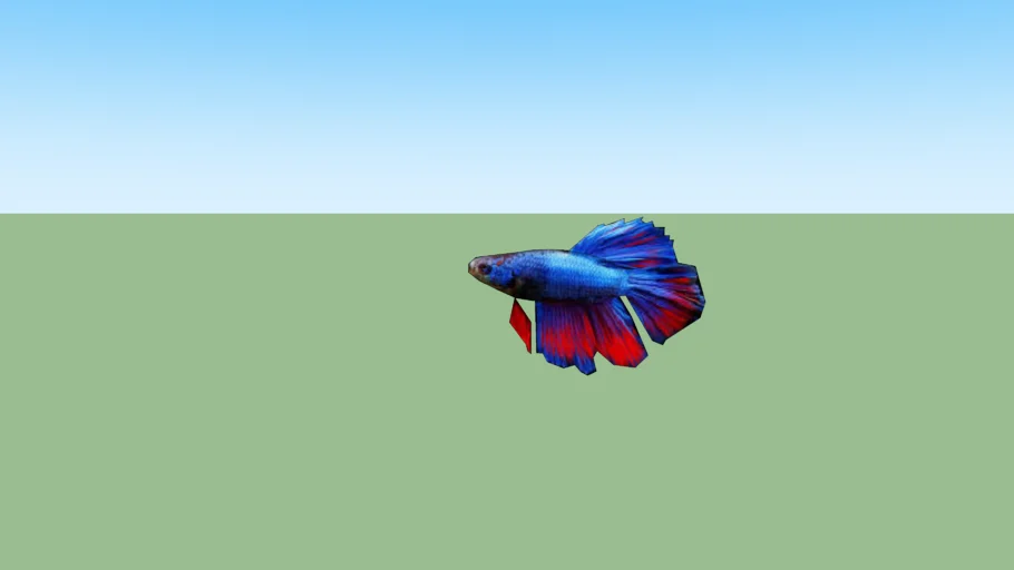 Fish | 3D Warehouse