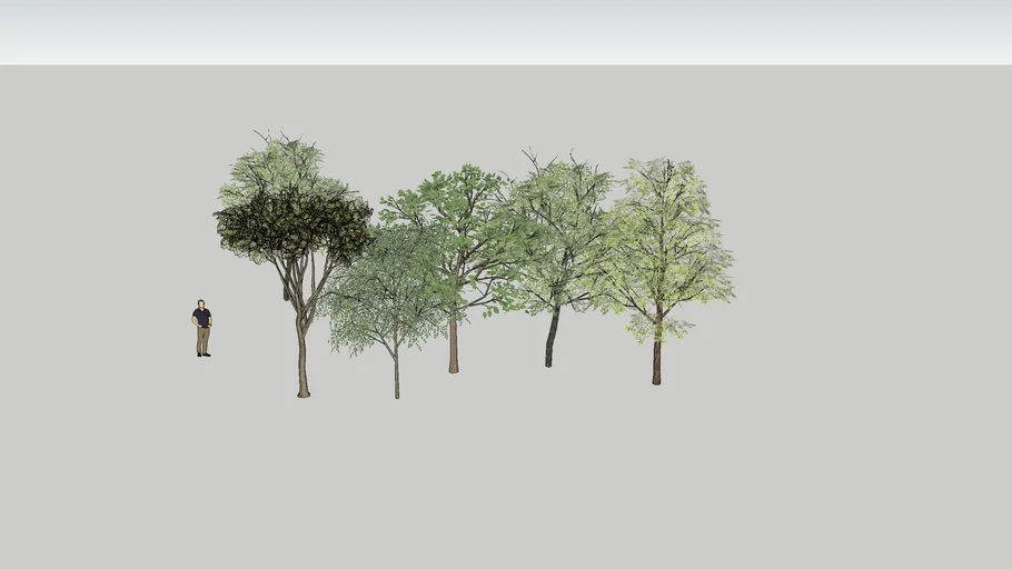 trees | 3D Warehouse