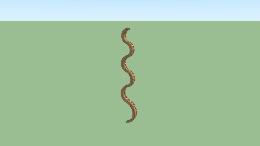 squiggle | 3D Warehouse