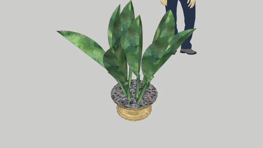 Plant | 3D Warehouse